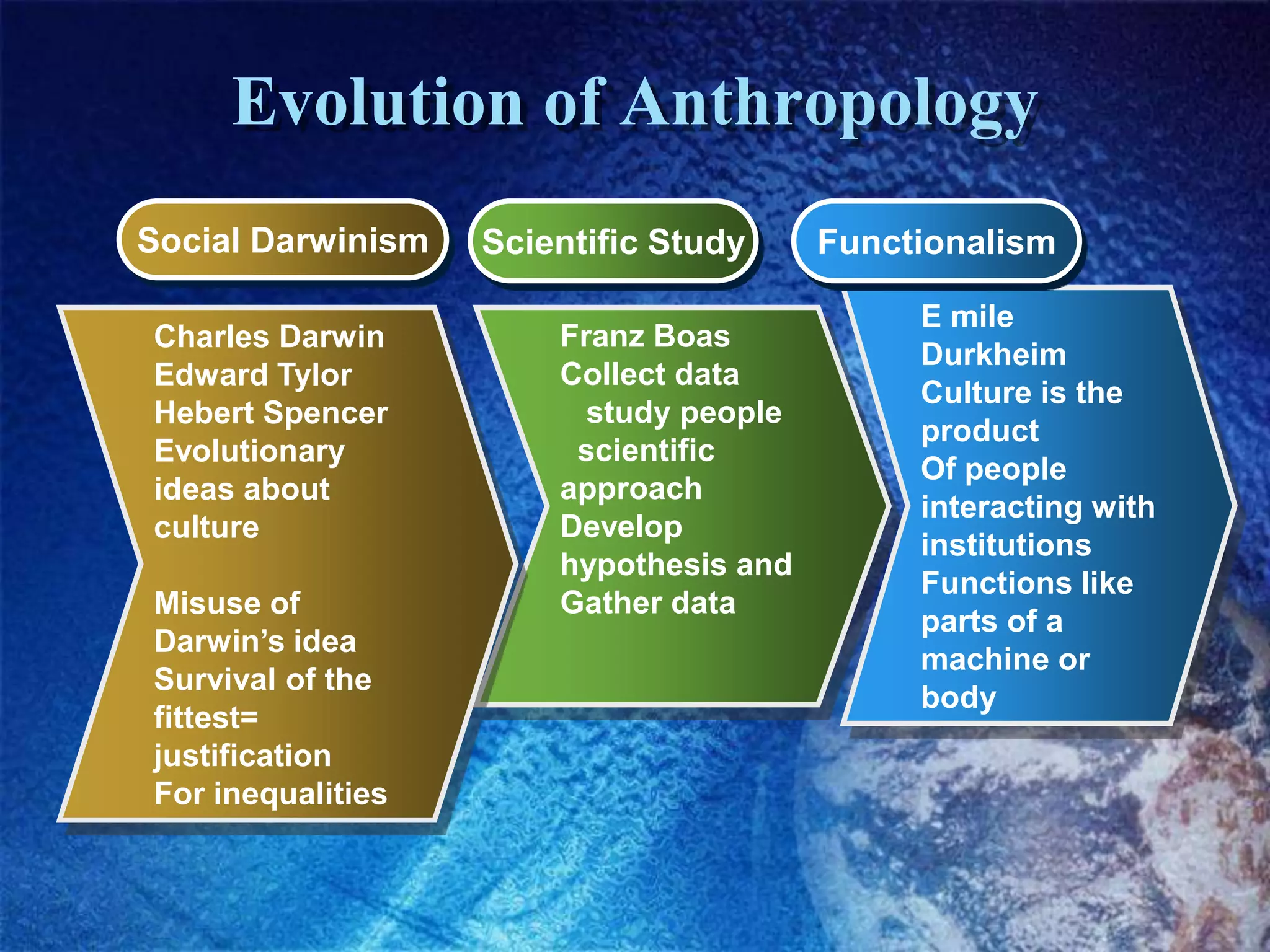 The evolution of anthropolgy | PPTX