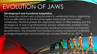 The evolution of dentition and jaws.pptx