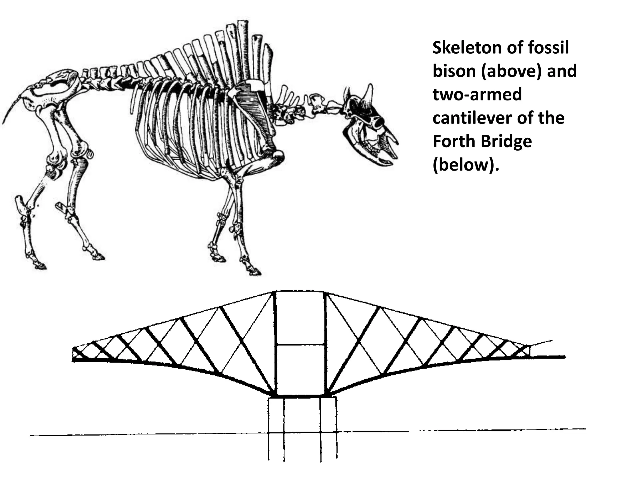 The evolution of design | PPTX