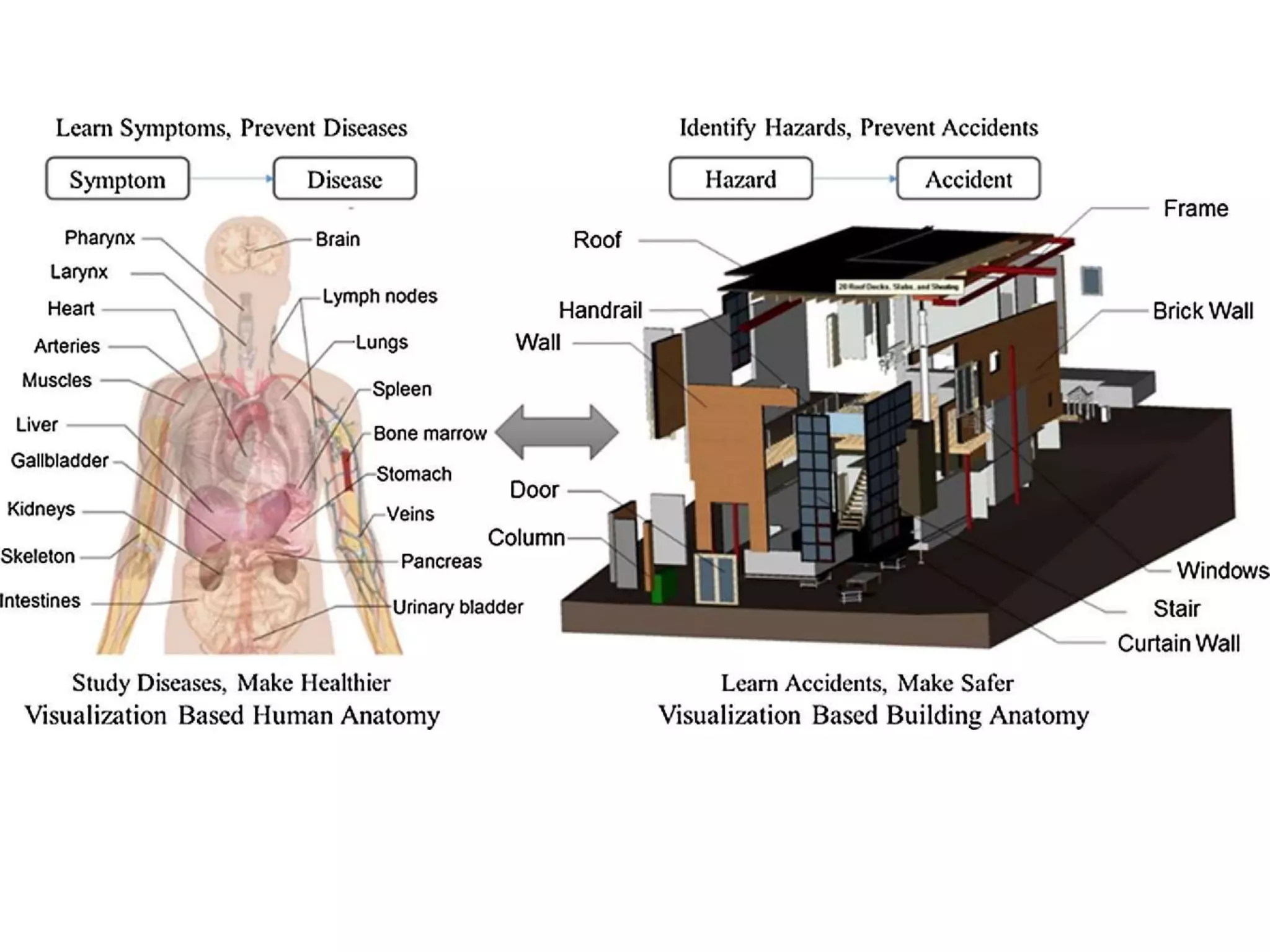 The evolution of design | PPT