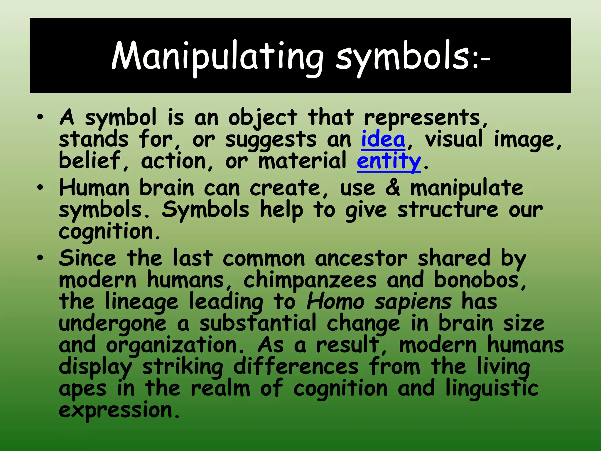 The evolution of human brain | PPTX