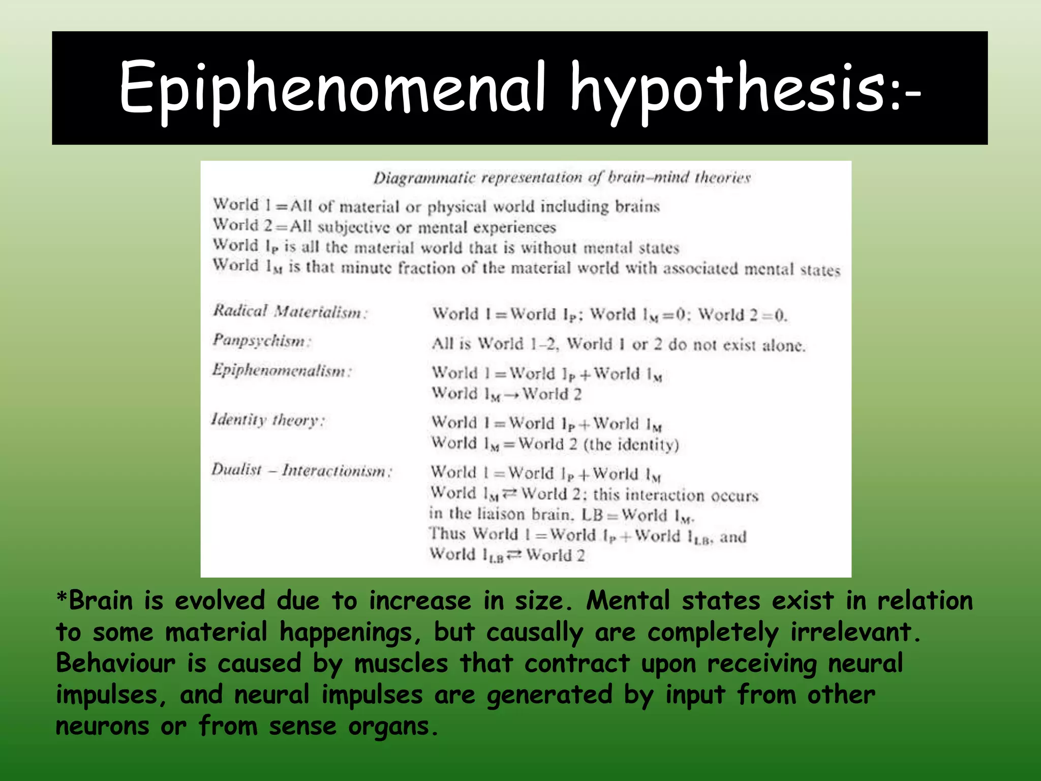 The evolution of human brain | PPTX