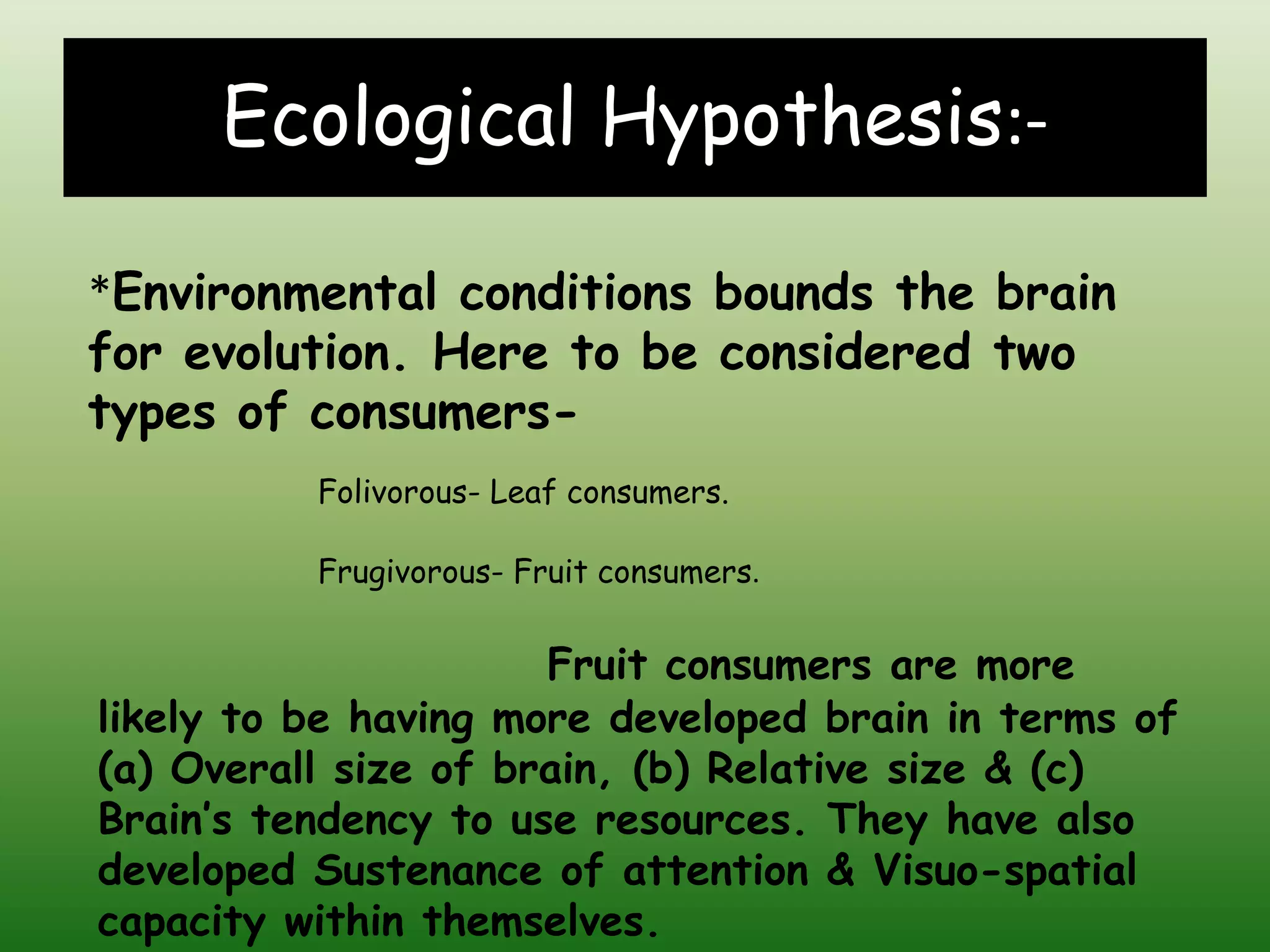 The evolution of human brain | PPTX