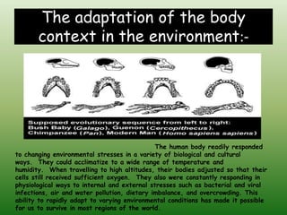 The evolution of human brain | PPTX