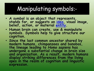 The evolution of human brain | PPTX