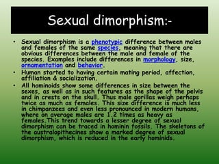 The evolution of human brain | PPTX