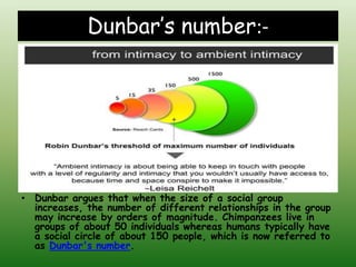 The evolution of human brain | PPTX