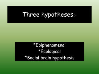 The evolution of human brain | PPTX