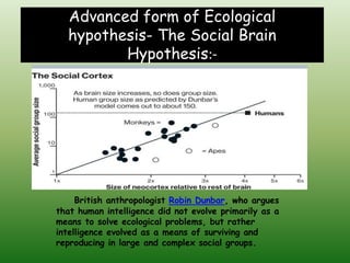 The evolution of human brain | PPTX