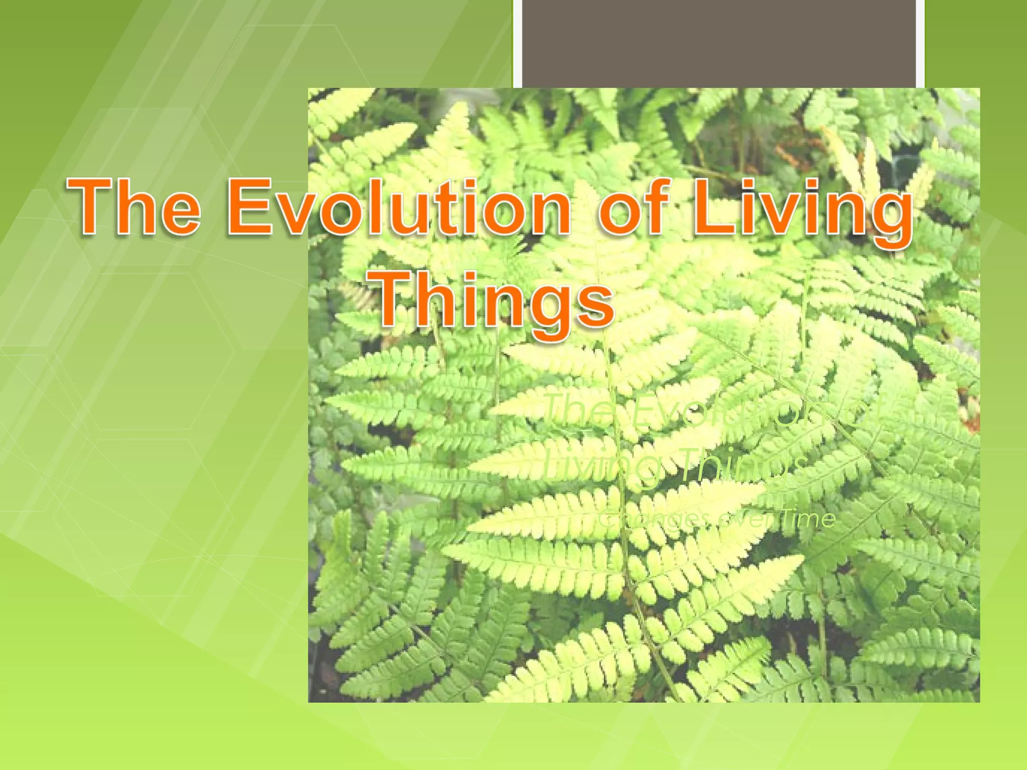 The evolution of living things | PPT
