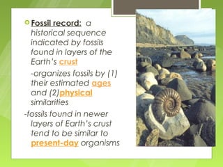 The evolution of living things | PPT | Geology | Science