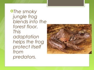 The evolution of living things | PPT