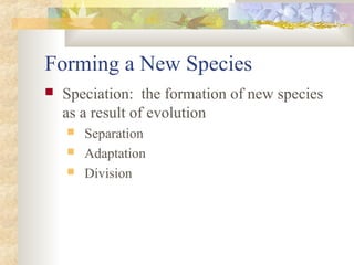 The evolution of living things | PPT