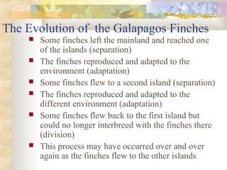 The evolution of living things | PPT