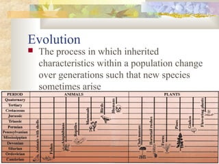The evolution of living things | PPT