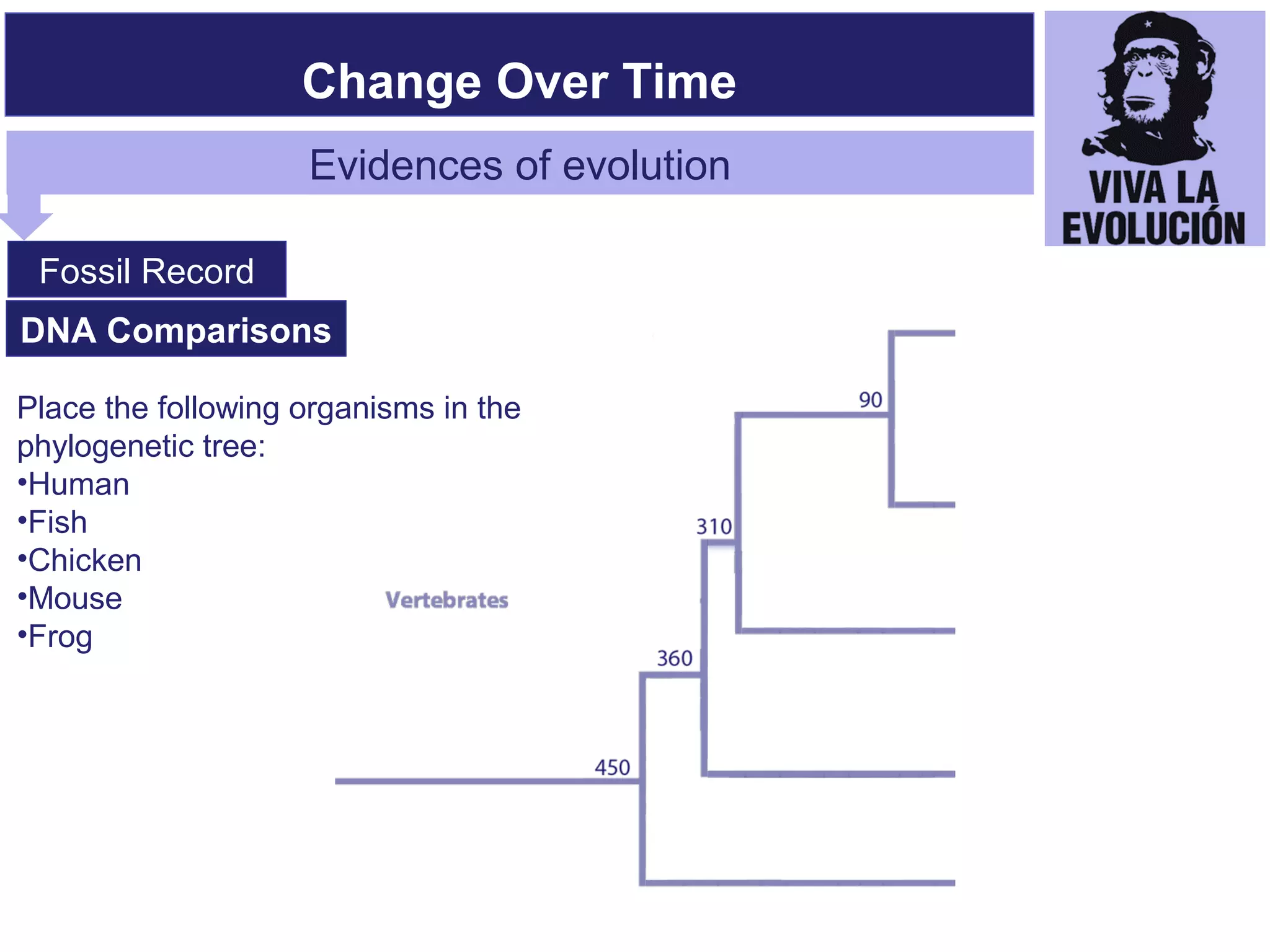 The Evolution of Living Things | PPT