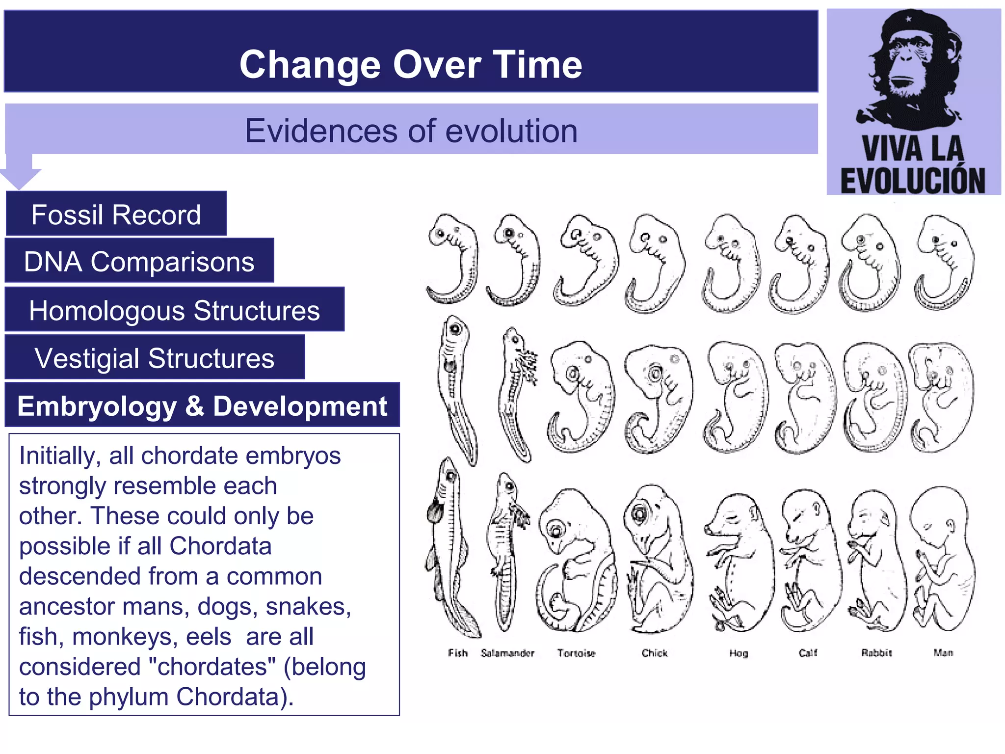 The Evolution of Living Things | PPT