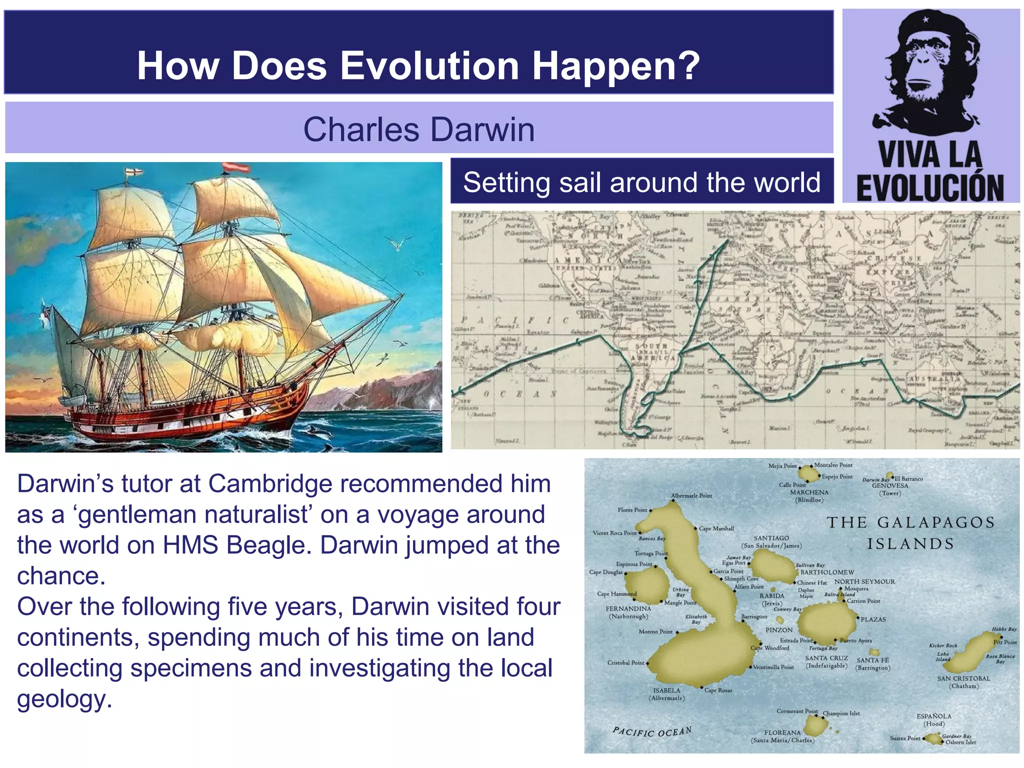 The Evolution of Living Things | PPT