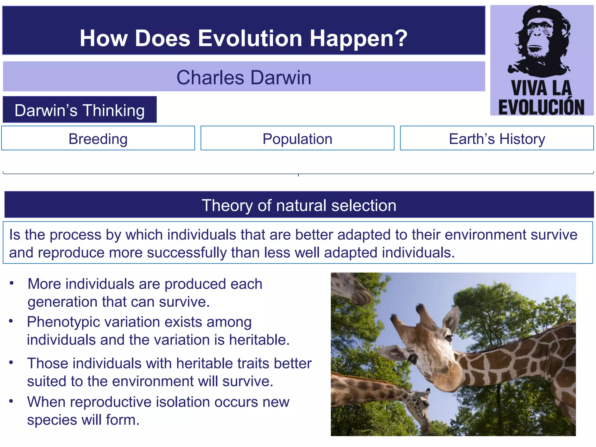 The Evolution of Living Things | PPT