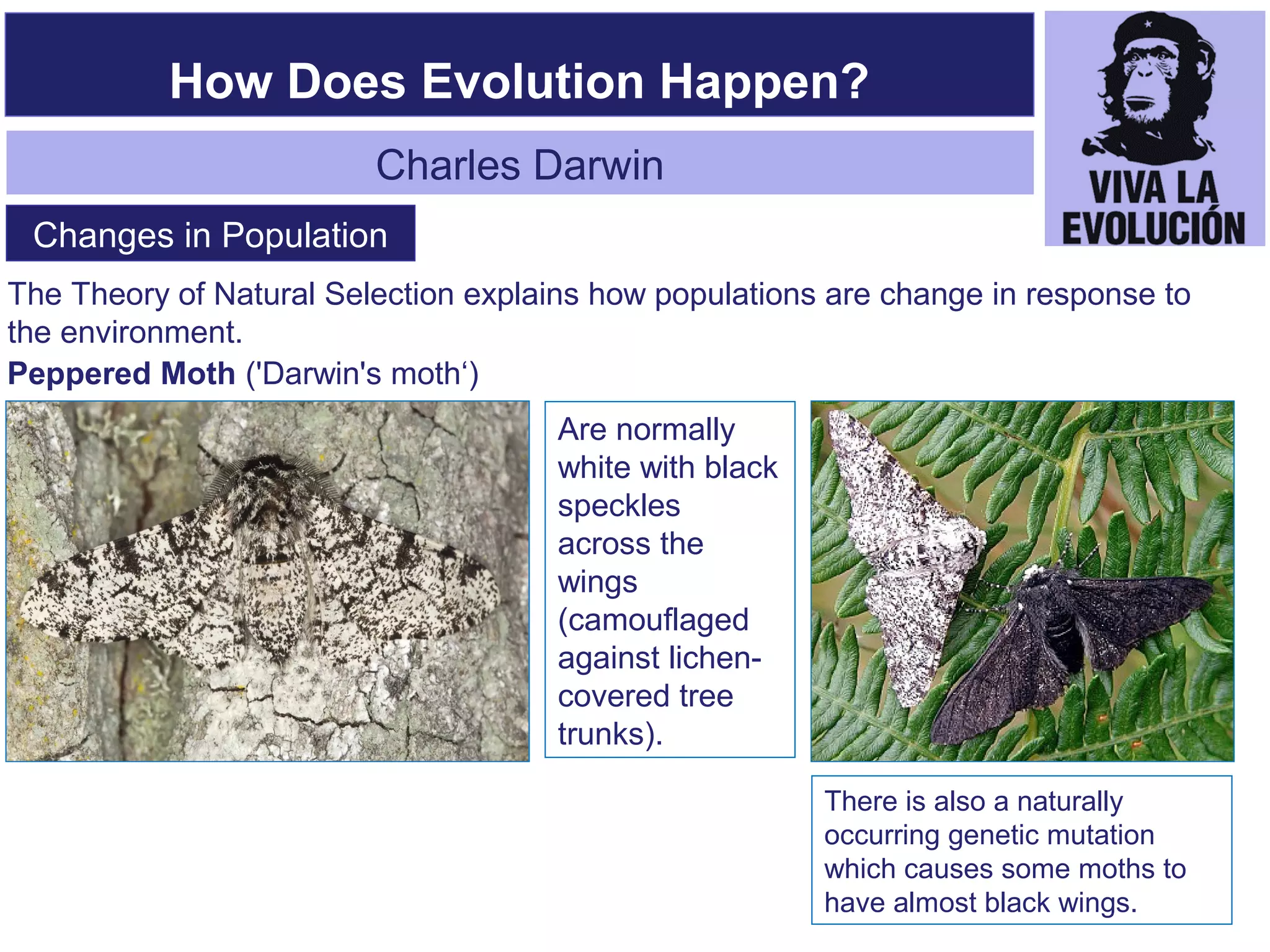 The Evolution of Living Things | PPT