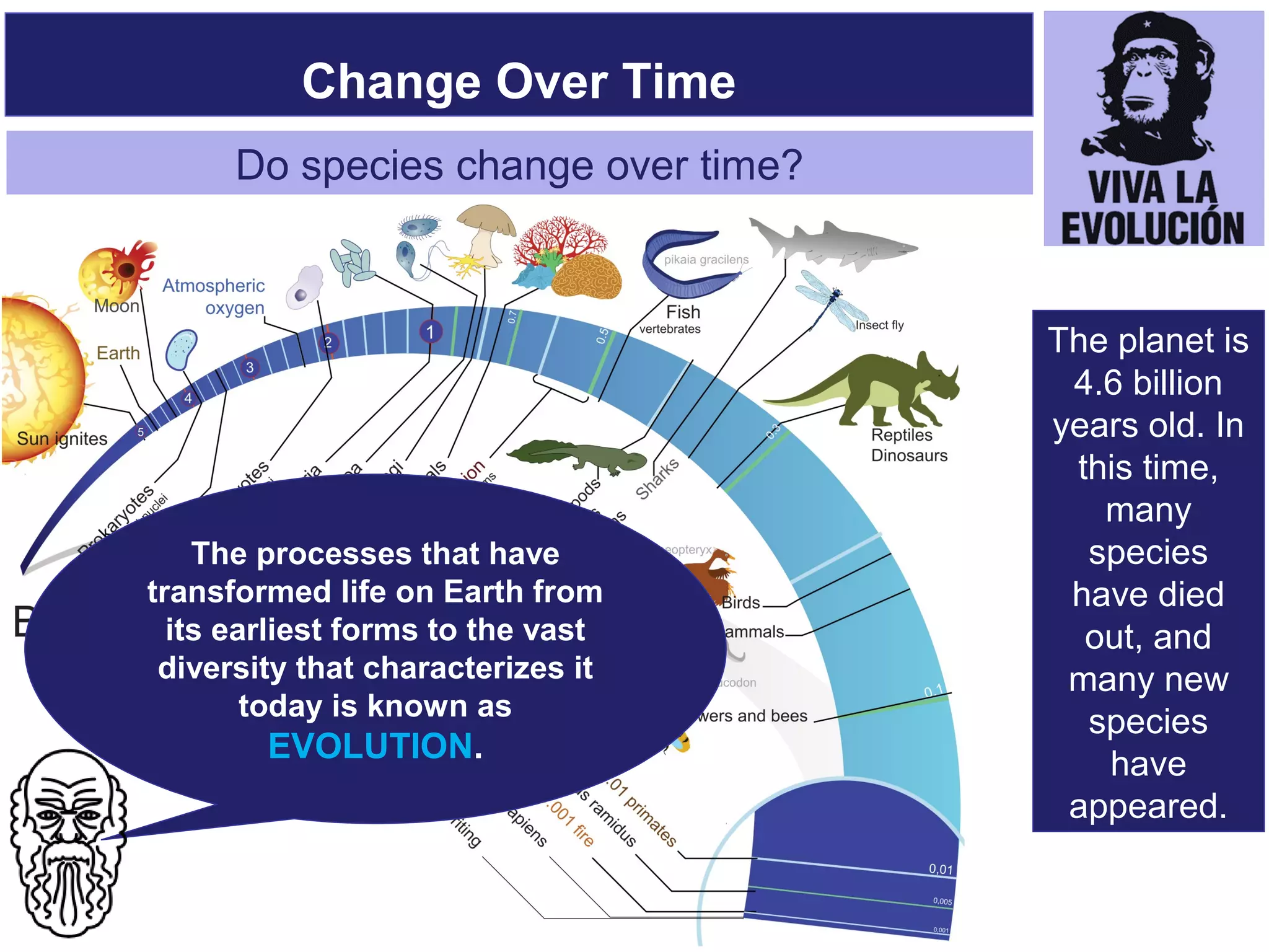 The Evolution of Living Things | PPT