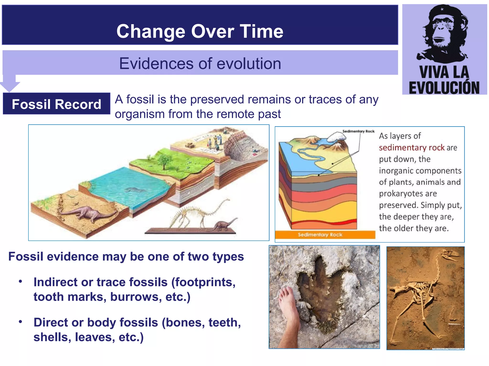 The Evolution of Living Things | PPT
