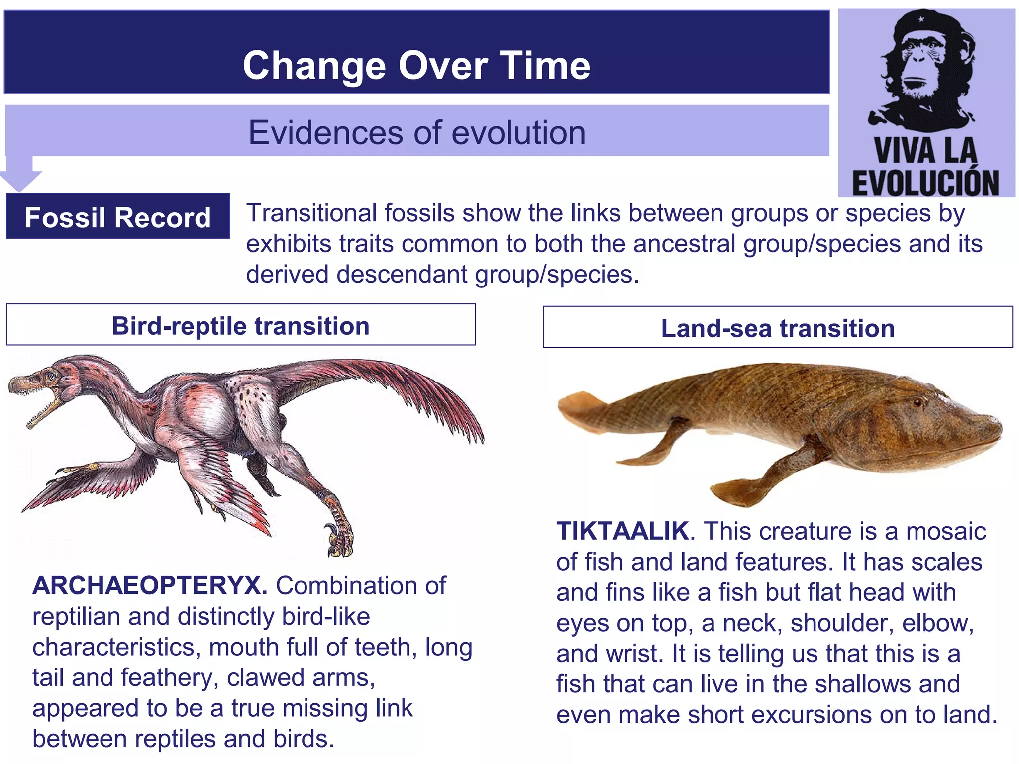 The Evolution of Living Things | PPT