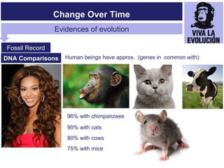 The Evolution of Living Things | PPT