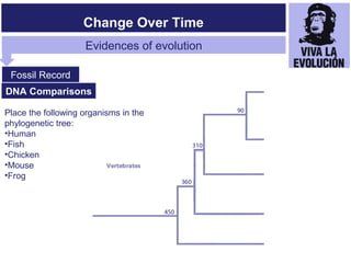 The Evolution of Living Things | PPT