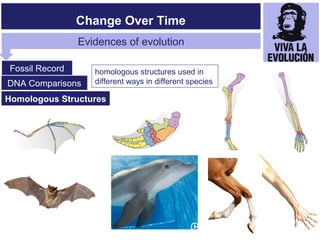 The Evolution of Living Things | PPT | Biological Sciences | Science