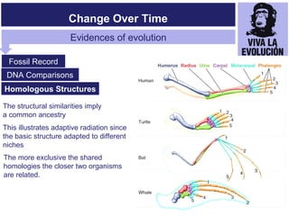 The Evolution of Living Things | PPT