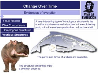 The Evolution of Living Things | PPT