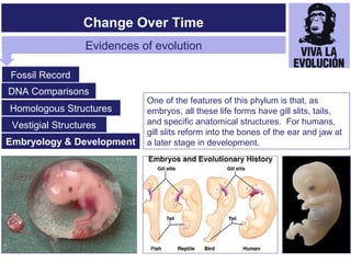 The Evolution of Living Things | PPT