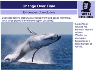 The Evolution of Living Things | PPT