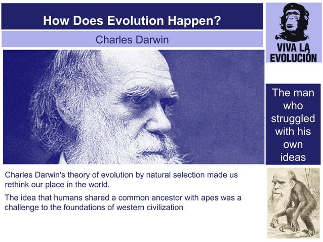 The Evolution of Living Things | PPT | Biological Sciences | Science