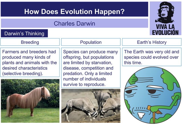 The Evolution of Living Things | PPT | Biological Sciences | Science