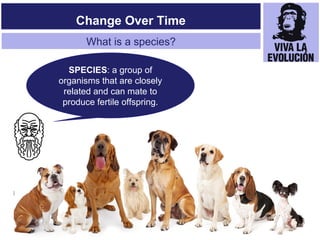 The Evolution of Living Things | PPT