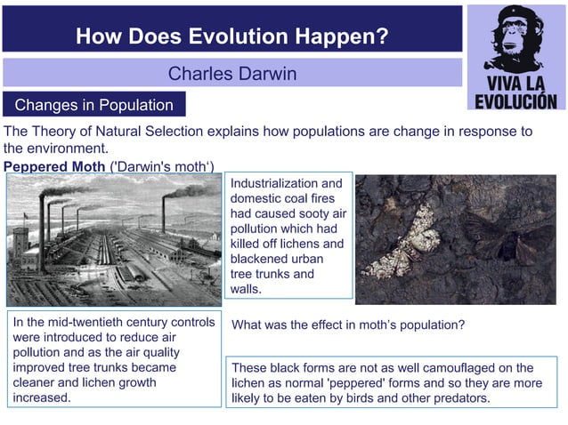 The Evolution of Living Things | PPT | Biological Sciences | Science