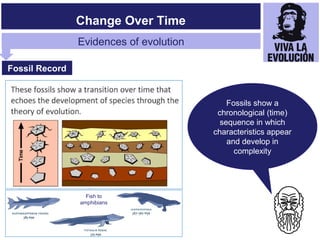 The Evolution of Living Things | PPT