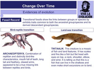 The Evolution of Living Things | PPT