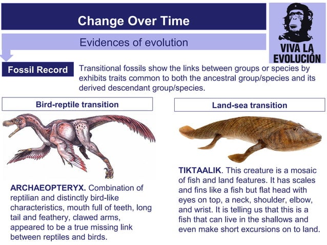 The Evolution of Living Things | PPT | Biological Sciences | Science