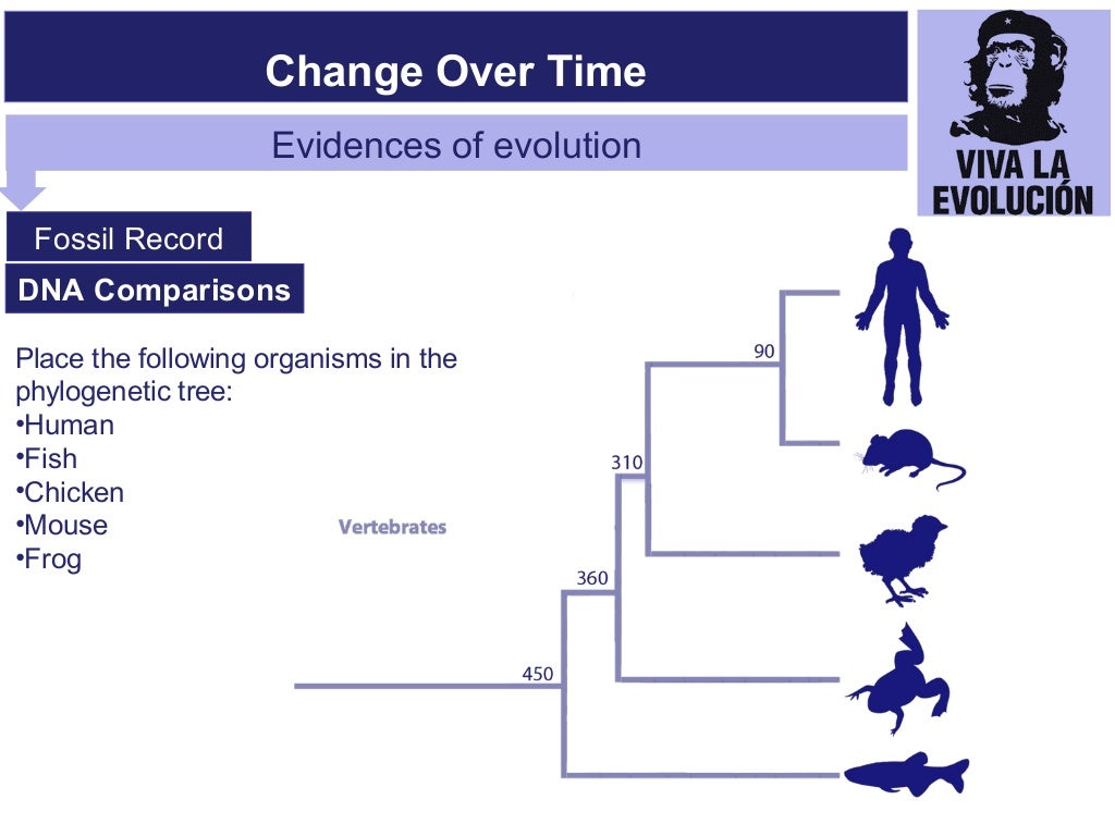 The Evolution of Living Things