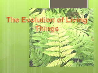 The evolution of living things | PPT