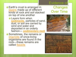 The evolution of living things | PPT
