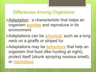 The evolution of living things | PPT