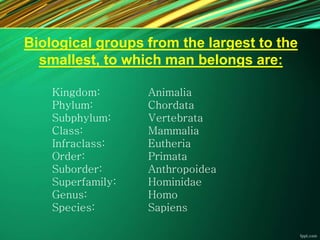 The evolution of man | PPT