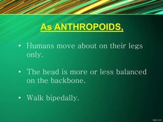 The evolution of man | PPTX