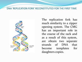 The evolution of medicine: DNA | PPTX