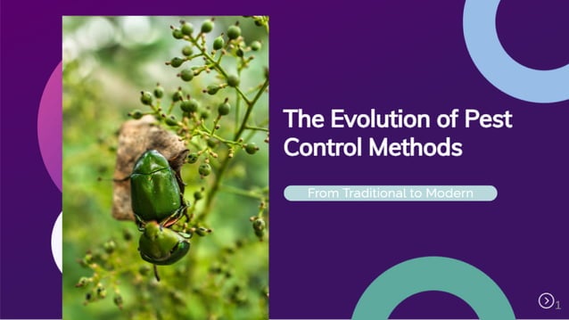 The Evolution of Pest Control Methods From Traditional to Modern.pdf ...