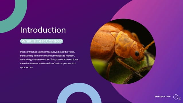 The Evolution of Pest Control Methods From Traditional to Modern.pdf ...
